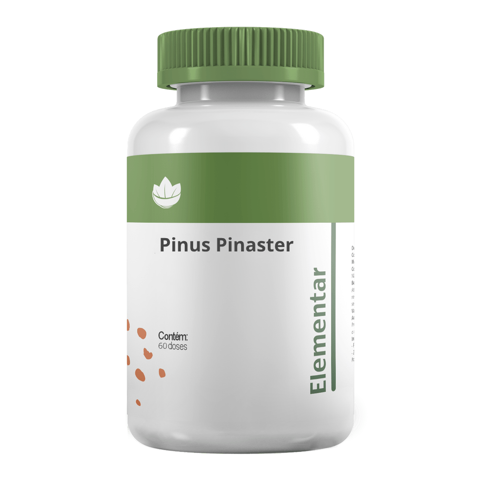 Pinus Pinaster